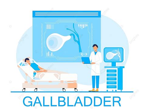 Gallbladder Concept Vector Gallstones Gall Template Download On Pngtree