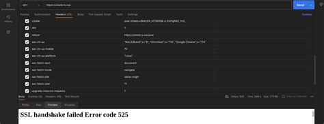 Not Protected Issue RuiSiang PoW Shield GitHub