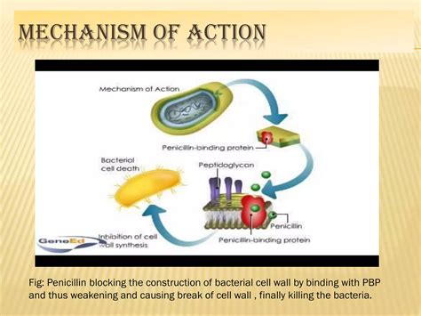 Story Of Penicillin Pptx