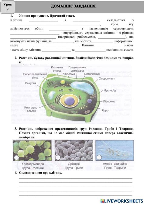 Домашнє завдання Інтелект України Біологія Урок2 Ч2 Worksheet Live Worksheets