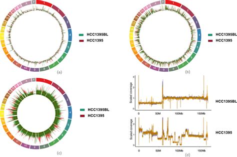 Genome Coverage From Wgs Data From Three Technologies Including Download Scientific Diagram