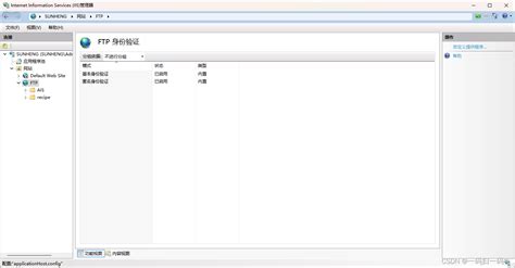 【日常开发之ftp】windows开启ftp、java实现ftp文件上传下载 windows ftp csdn博客