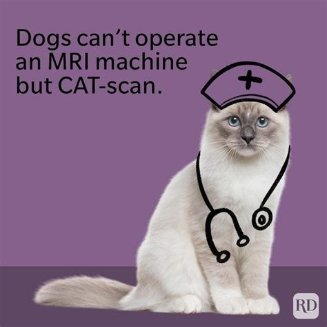 144 Doctor Jokes That Prove Laughter Is The Best Medicine