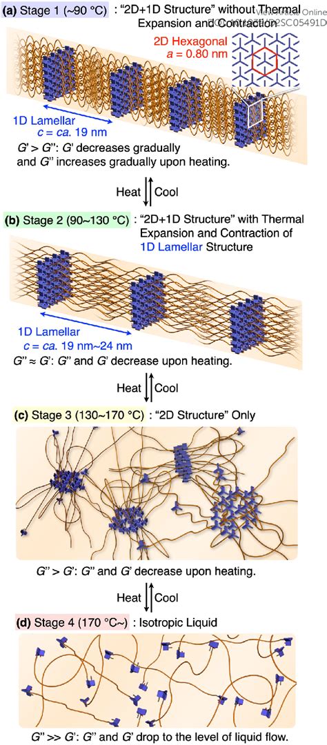 a d schematic illustration of the assembly structures and