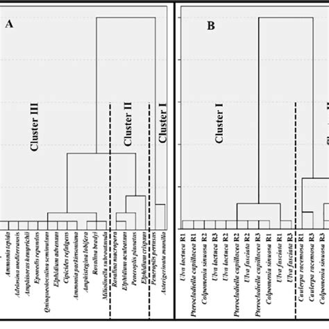 Dendrograms Of Hierarchical Cluster Analyses A Foraminiferal Taxa