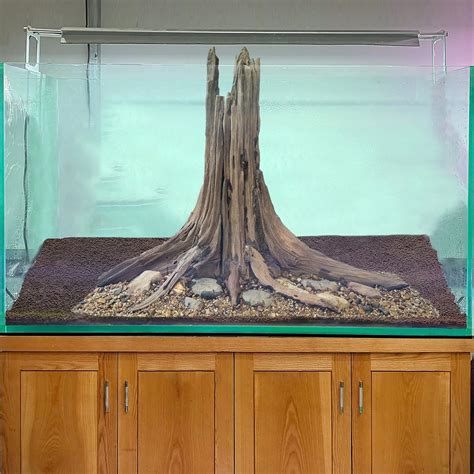 Aquarium Driftwood Stump Tree Aquascape Hardscape Wood Terrarium Fish Tank Decor Etsy