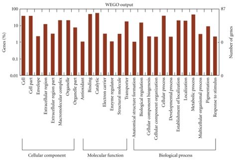 Go Categories Of The Identified Proteins By Wego Software Download