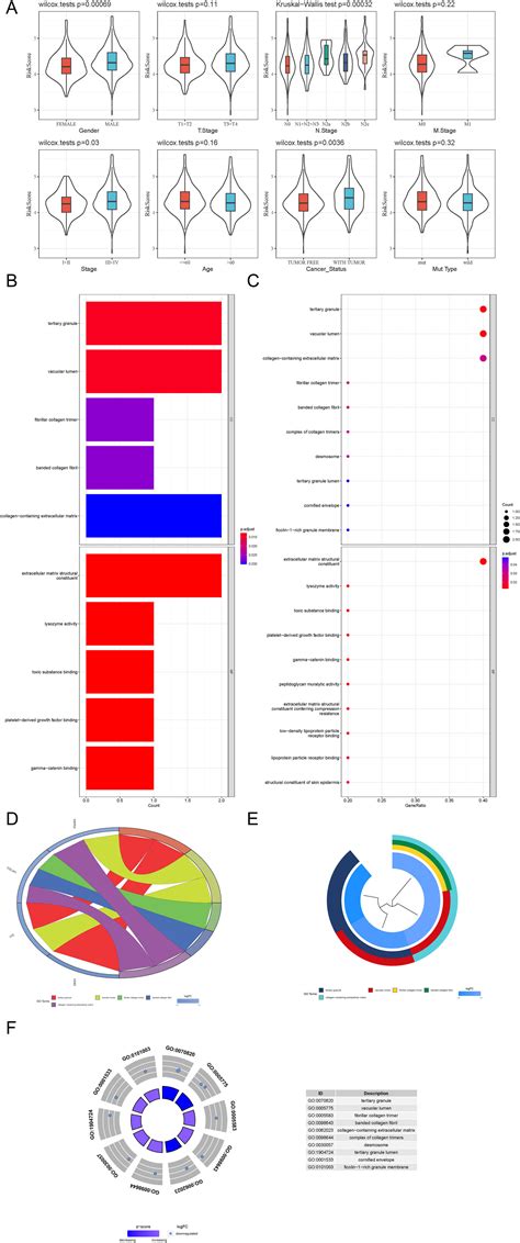 Development Of The Tp53 Mutation Associated Hypopharyngeal Squamous Cell Carcinoma Prognostic