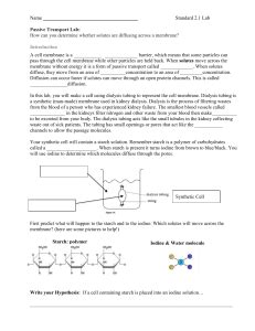 Diffusion Lab Worksheet