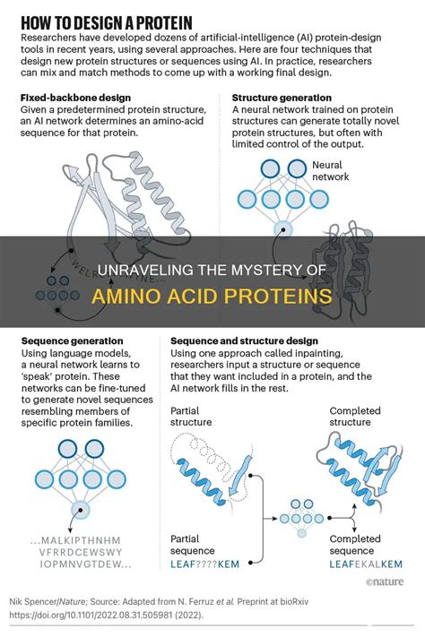 Unraveling The Mystery Of Amino Acid Proteins Medshun