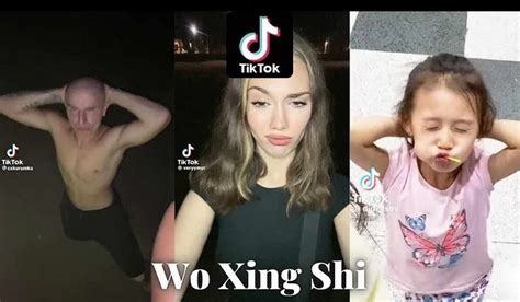 Wo Xing Shi 我姓石 My Name Is Shi Know Your Meme