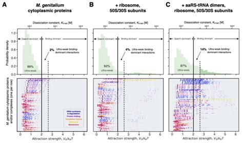 The Vast Majority Of Electrostatic Attractive Ppis In The M Genitalium