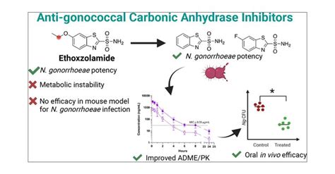 Optimization Of Ethoxzolamide Analogs With Improved Pharmacokinetic