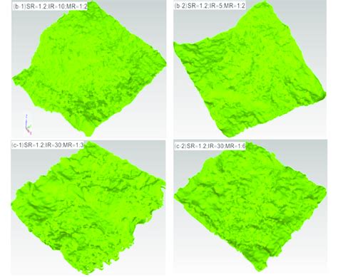 Reconstructionmorphology Of The Stimulated Main Surface For The Typical Download Scientific