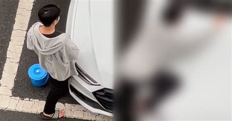 Korean Man Disturbs The Internet By Having Sex With An Audi Koreaboo