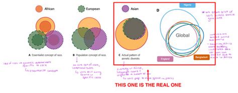 Biostats Class 23 Flashcards Quizlet