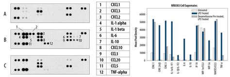 Multiplex Cytokine Assay Kits Products Bio Techne