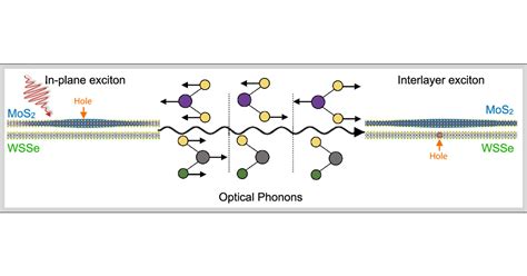 Intrinsic Control Of Interlayer Exciton Generation In Van Der Waals