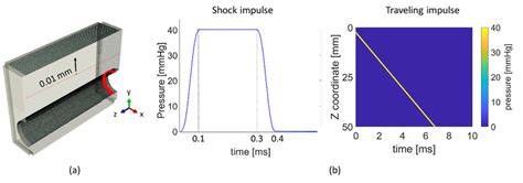 A Shear Wave Propagation Was Induced By A Localized Displacement Of