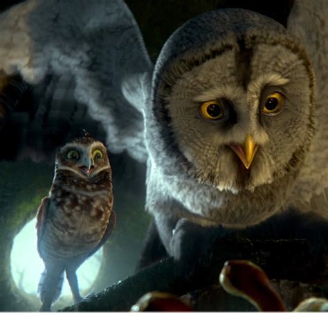 Twilight And Digger Legend Of The Guardians Owls Of Gahoole Wiki Fandom