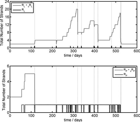 Stochastic Time Evolution Of The Genome Composition Of A Single