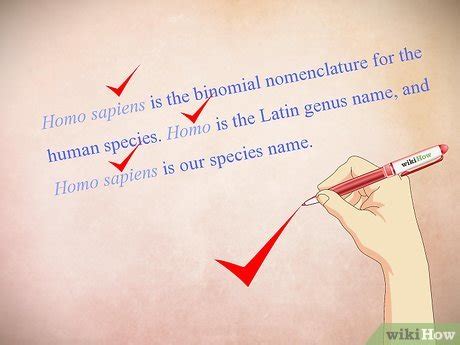 How To Use Italics With Examples