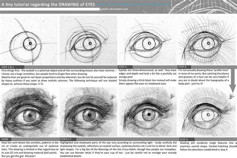 Pin By Suzanne Dahl On Art References Eye Drawing Realistic Eye
