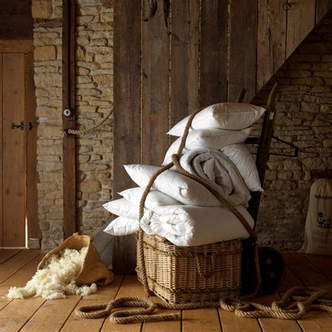 Décadrages Bedup Lifts Up To The Ceiling When Not In Use