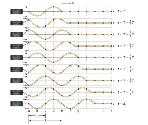 Solved Light Can Be Modelled As Transverse Wave Use Matlab