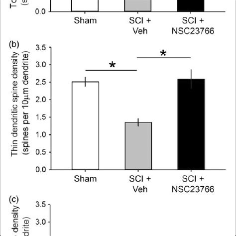 Dendritic Spine Density A Total Dendritic Spine Density Was Download Scientific Diagram