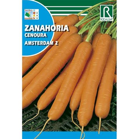 Semillas De Zanahoria Ámsterdam 2 Con Ofertas En Carrefour Ofertas
