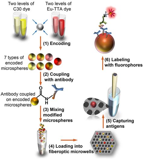 Multiplexed Fluorescent Microarray For Human Salivary Protein Analysis