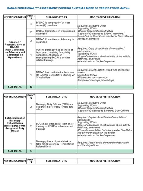 Badac Functionality Assessment Pdf Business