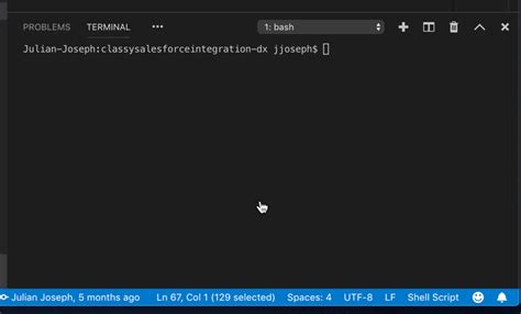 Salesforcedx How To See Sfdx Commands Processing Indicator In Vscode