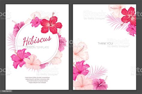 히비스커스 꽃 디자인 템플릿입니다 흰색 배경에 야자수 잎이 있는 빨간색 분홍색 열대 꽃 청첩장 인사말 카드 디자인 및 전단지에 가장 적합합니다 벡터 그림입니다 개화기에 대한