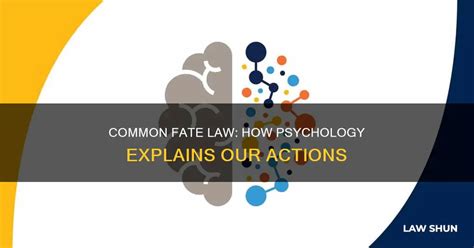 Common Fate Law How Psychology Explains Our Actions Lawshun