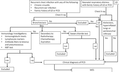 Clinical Algorithm Used In This Study To Define Pcd Clinically And