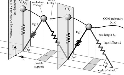 Walking Of The Bipedal Spring Mass Model Starting At The Instant Of Vlo Download Scientific