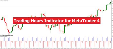 Trading Hours Indicator For Metatrader 4