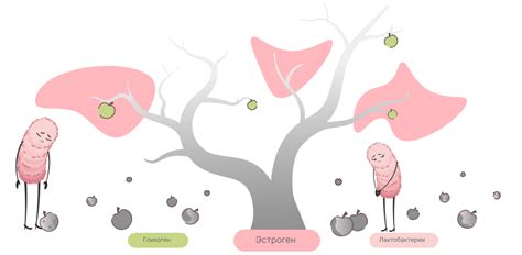 Неприятный запах из влагалища всё о проблеме