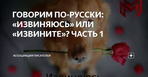 ГОВОРИМ ПО-РУССКИ: «ИЗВИНЯЮСЬ» ИЛИ «ИЗВИНИТЕ»? ЧАСТЬ 1 | Издательский ...