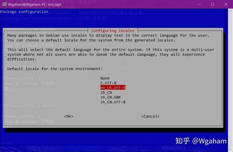 使用win10的wsl体验linux终端环境 知乎