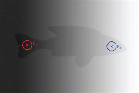 An Example Of Inhomogeneous Image Segmentation Based On The Lbf Model Download Scientific