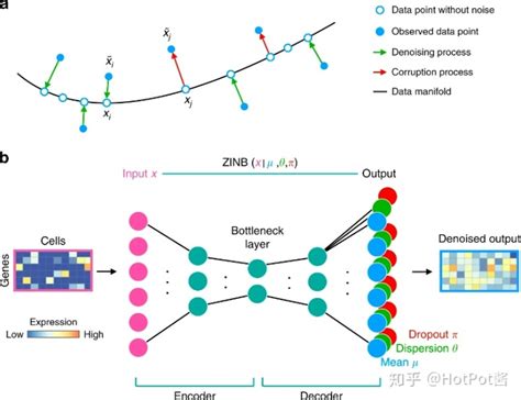 Som神经网络聚类简单例子单细胞遇上深度学习（基于模型的聚类算法） Csdn博客