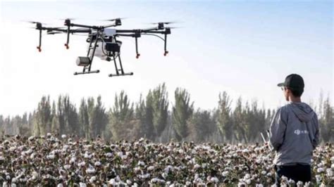 Monitor Why Is It Important To Monitor Crops