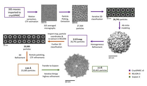 a robust single particle cryo electron microscopy cryo em processing workflow with cryosparc