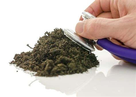 How To Prevent Air And Soil Pollution Reuse And Recycle Ride A Bike