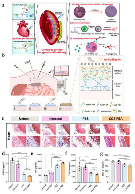 Gels An Open Access Journal From Mdpi
