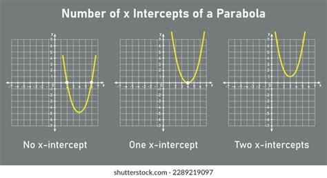 number x intercepts parabola quadratic function stock vector royalty