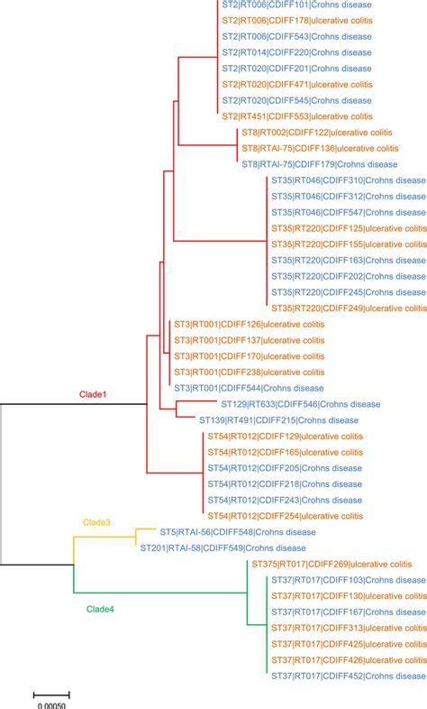 Phylogenetic Relationships Among Composite Nucleotide Sequences Of Download Scientific Diagram